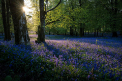 Folly Farm - Movie Makers Guide