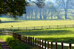 The Breamore Estate - Movie Makers Guide