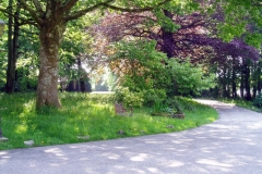 Trewan Hall - Movie Makers Guide